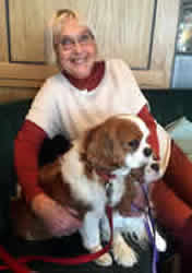Cavalier Club - Tribute to Ann Blackburn (Bekenveldt)